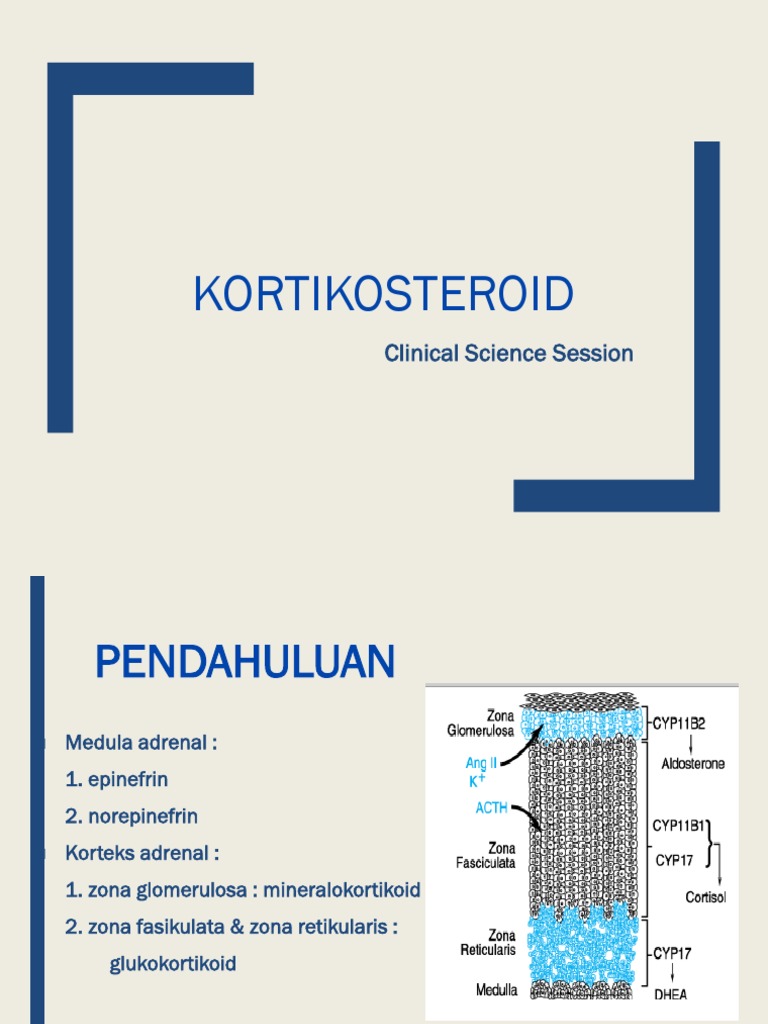 2 Kortikosteroid | PDF