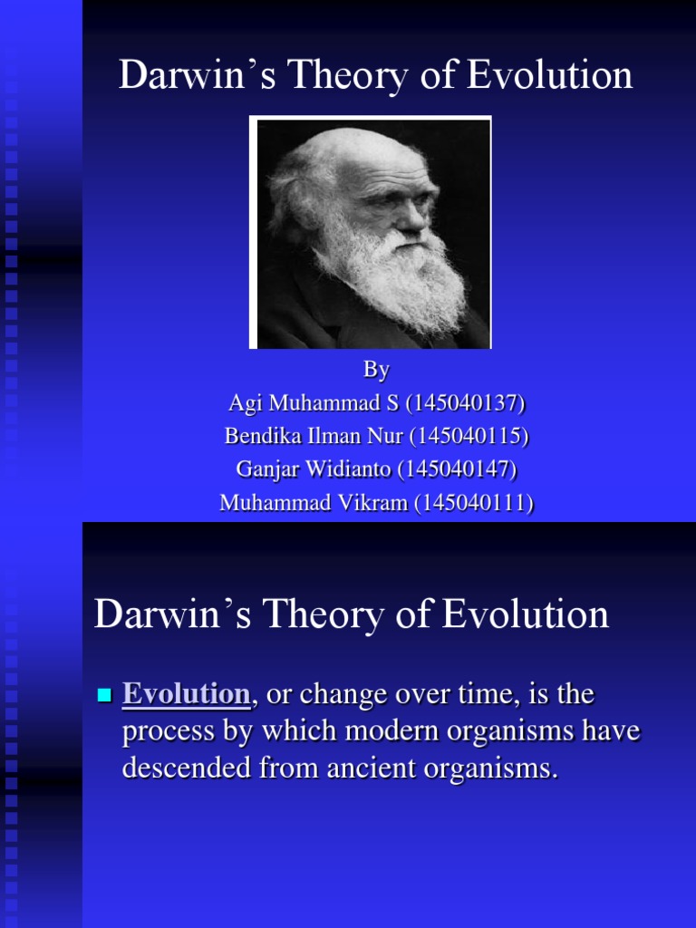 Darwin's Theory of Evolution | PDF | Natural Selection | Evolution