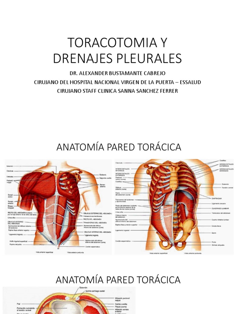 Toracotomia y Drenaje Pleural | PDF | Tórax | Tórax (anatomía humana)