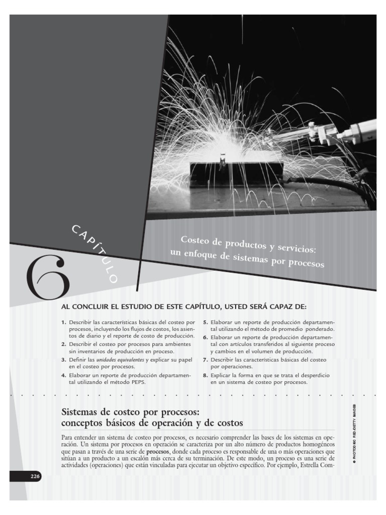 Capítulo 6 | PDF | Planificación de recursos empresariales | Base de datos Oracle