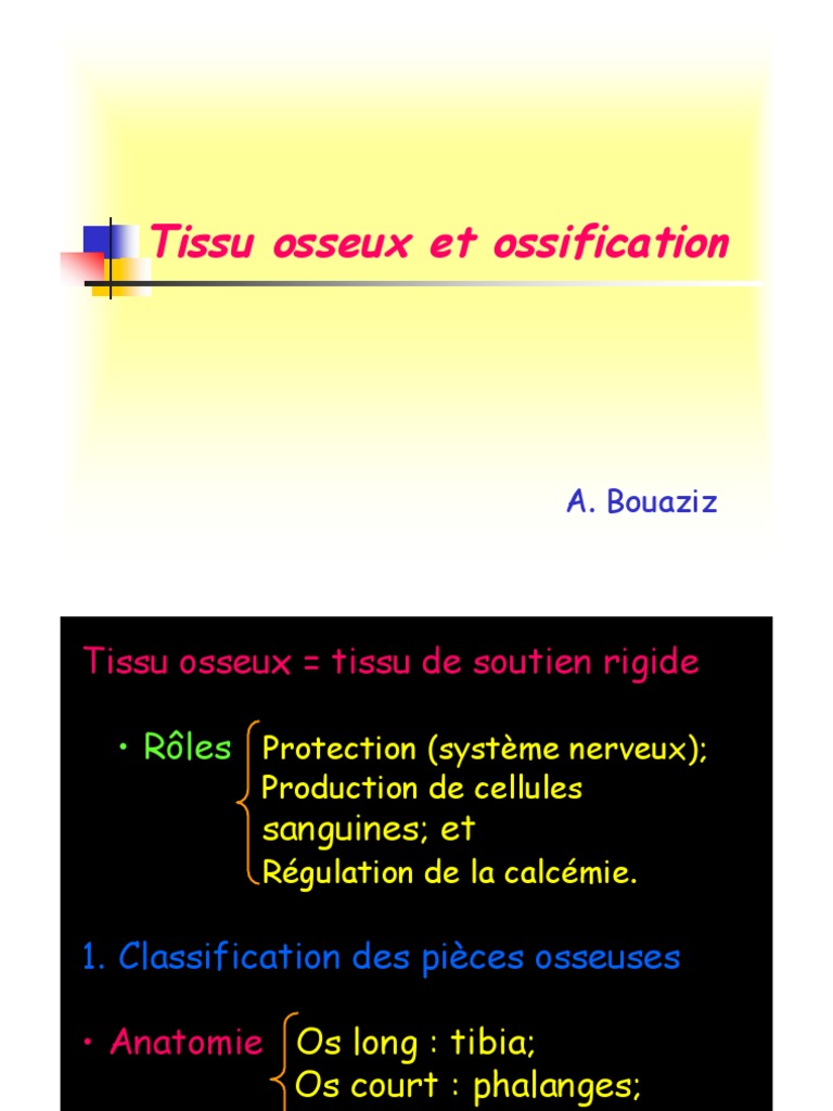 Ossification et tissu osseux | PDF | Os | Cartilage