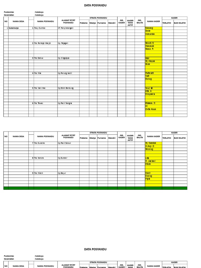 Format Data Posyandu | PDF