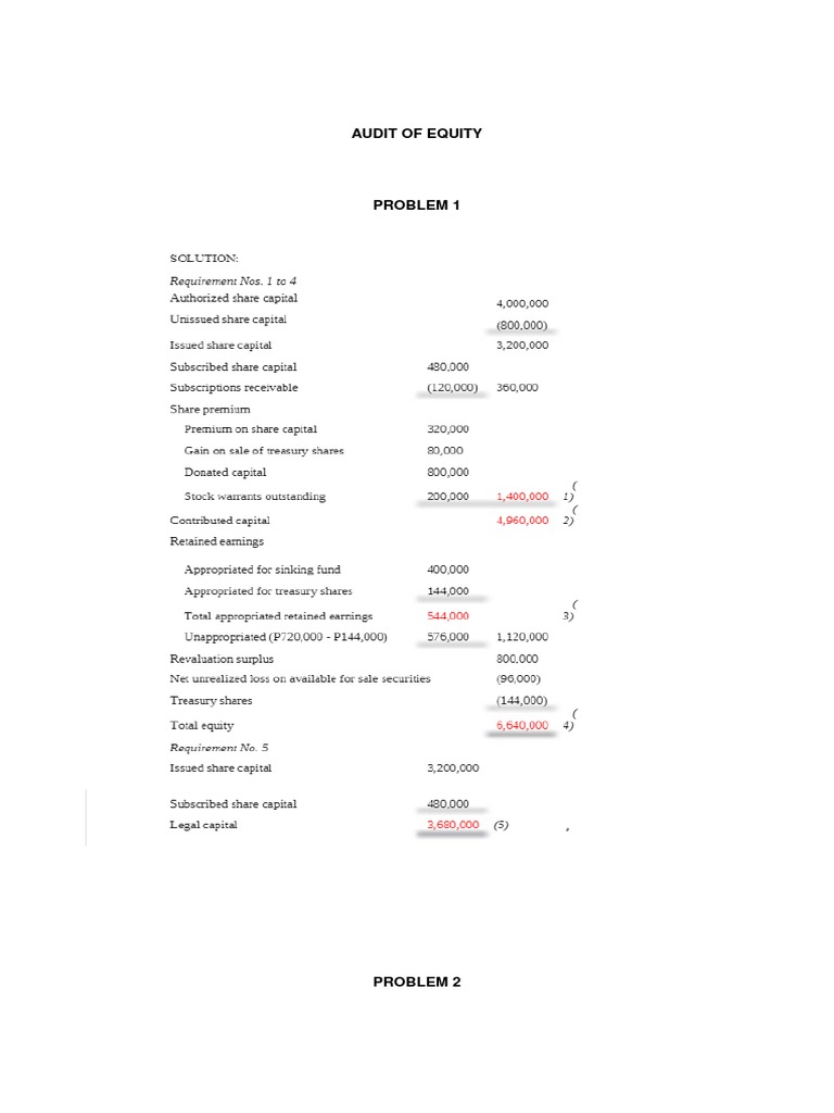 Equity Audit Problem List | PDF