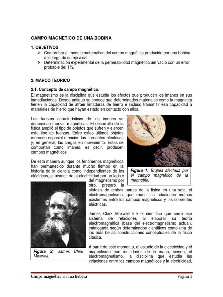 Laboratorio 10 - Campo Magnetico | PDF | Magnetismo | Imán