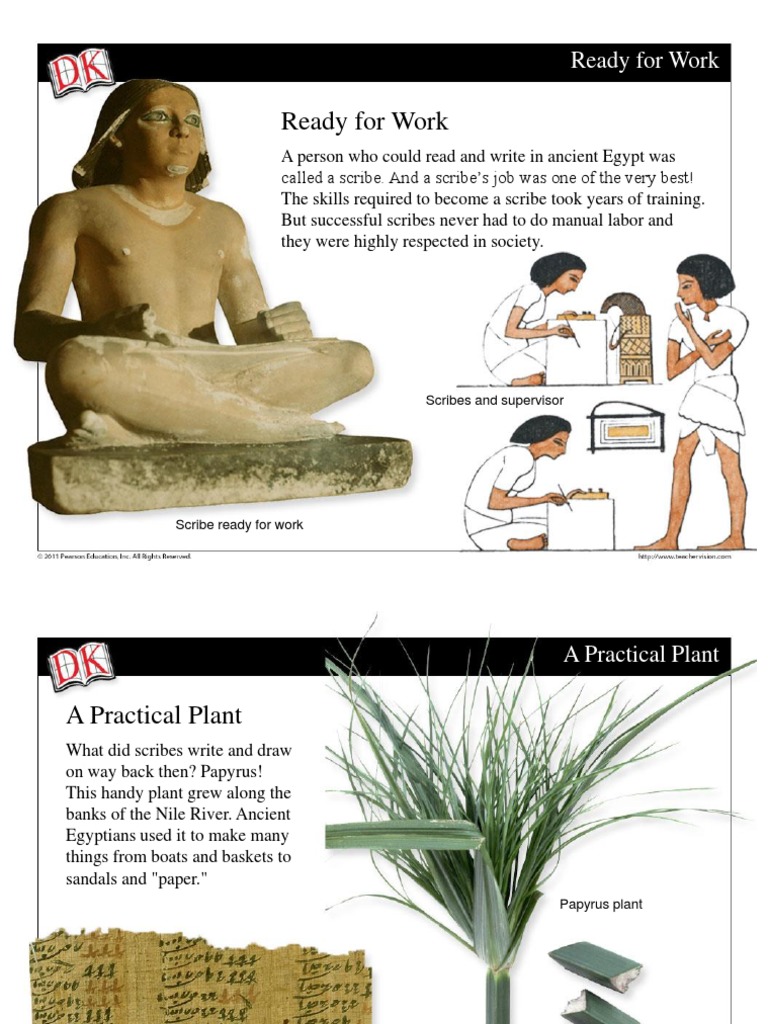 Scribes of Ancient Egypt | PDF | Papyrus | Egyptian Hieroglyphs