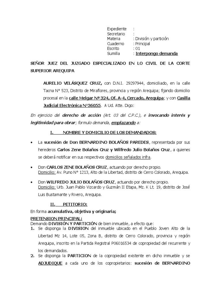 Demanda de División y Partición | PDF | Condominio | Demanda judicial