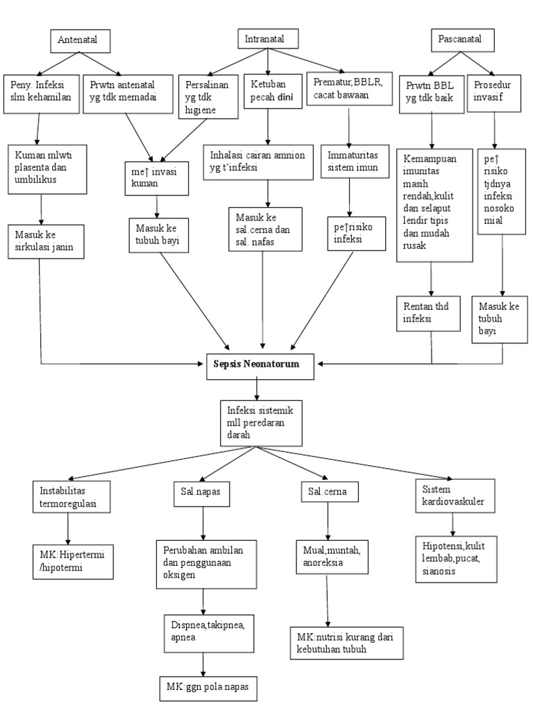 Woc Sepsis Neonatorum | PDF