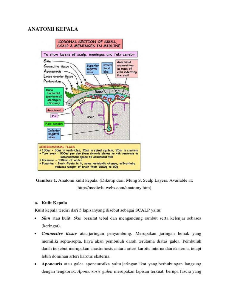 Perbedaan Kontusio dan Komosio Serebri | PDF