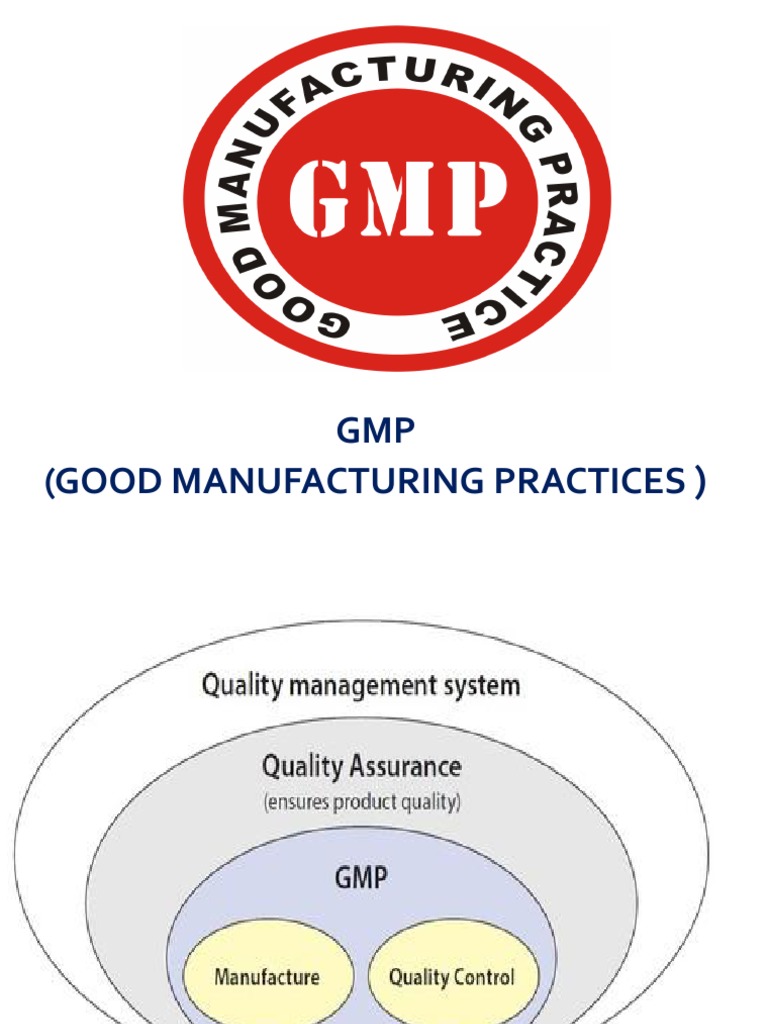Understanding GMP in Pharmaceutical Manufacturing | PDF | Quality ...