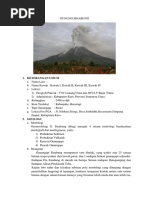 Karakteristik dan Contoh Gunung Api Maar | PDF | Sains & Matematika