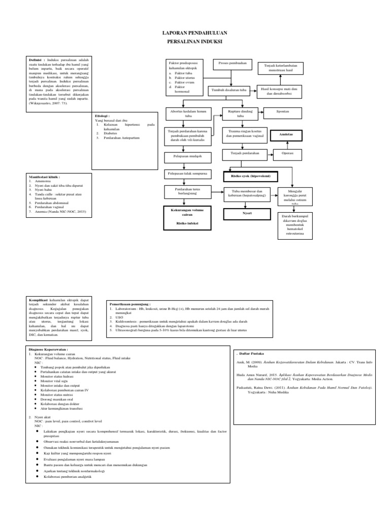 LP Persalinan Induksi Mapping | PDF