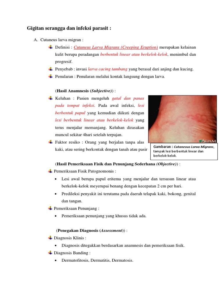 Gigitan Serangga Dan Infeksi Parasit | PDF