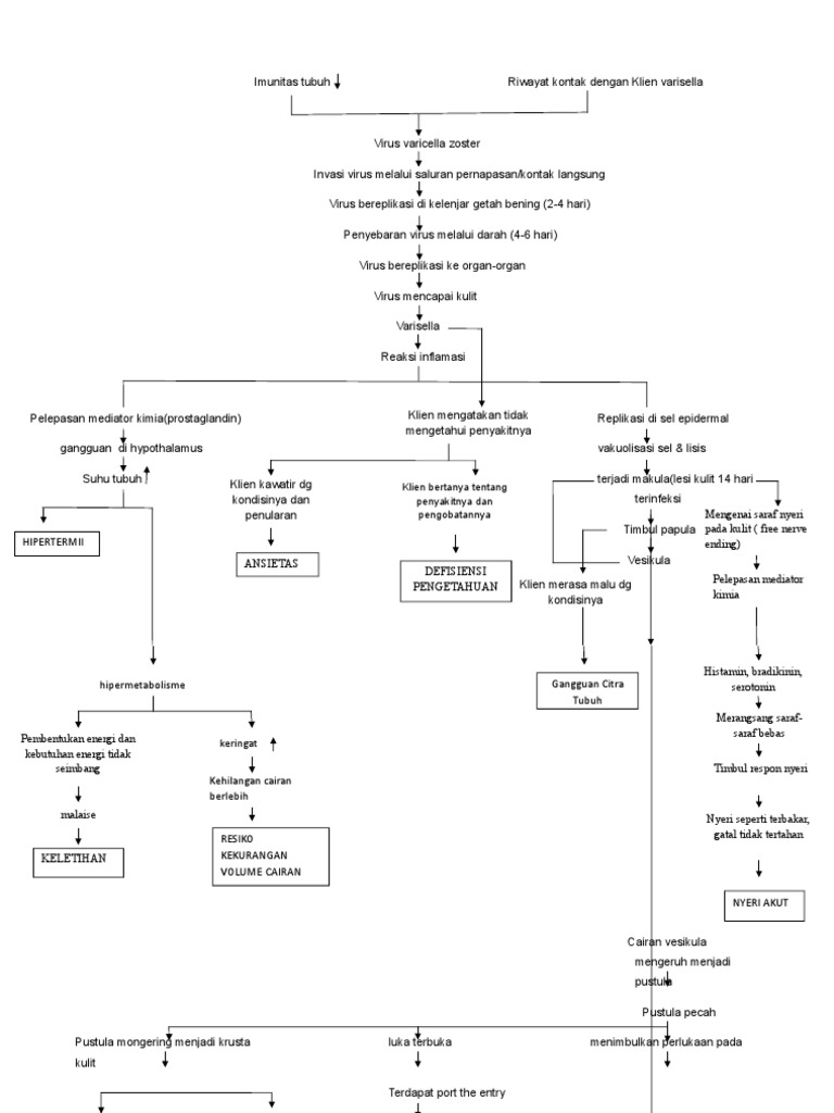 Pathway Varicella | PDF