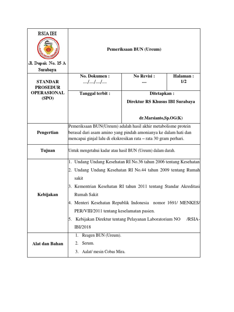 Pemeriksaan BUN | PDF