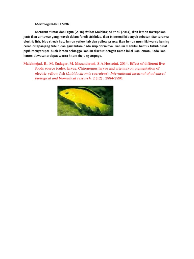Morfologi Ikan Lemon | PDF