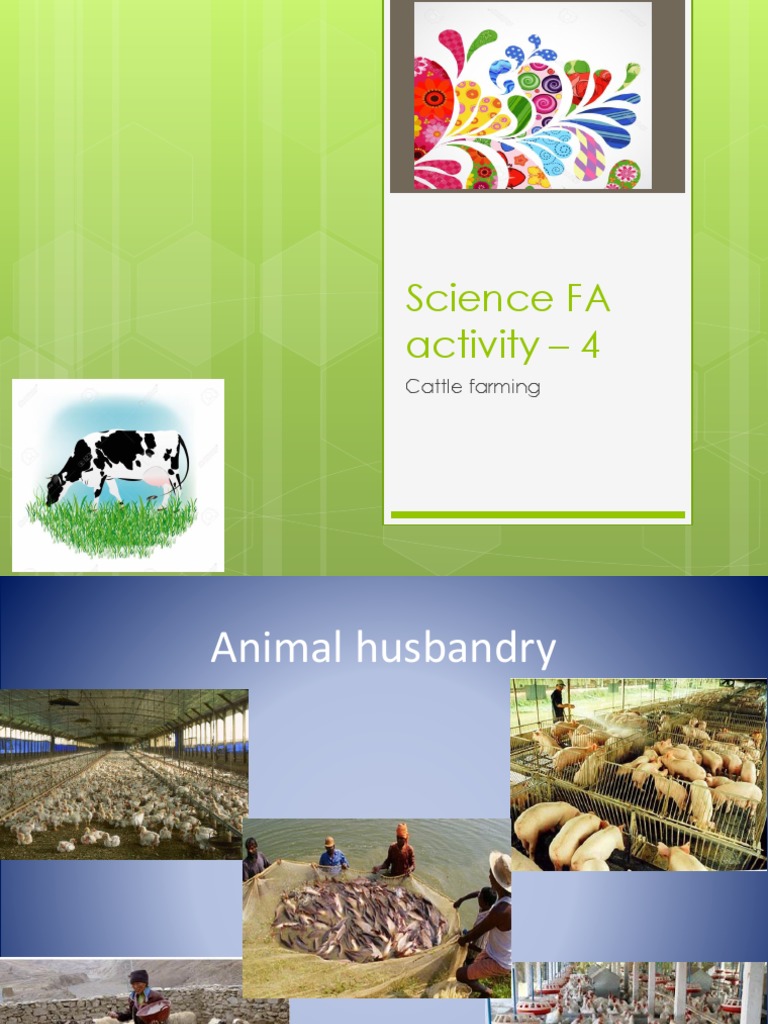 Science FA Activity - 4 | PDF