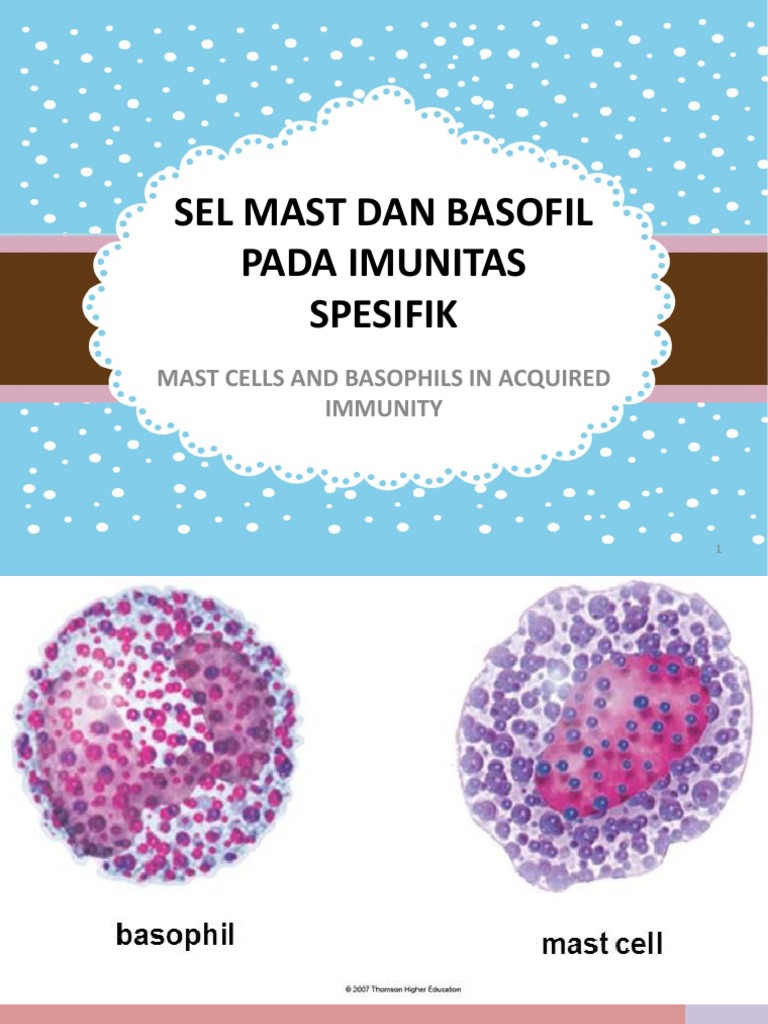 Peran Sel Mast dan Basofil dalam Imunitas | PDF