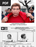 Análisis del caso de juana barraza | Violencia doméstica | Delito