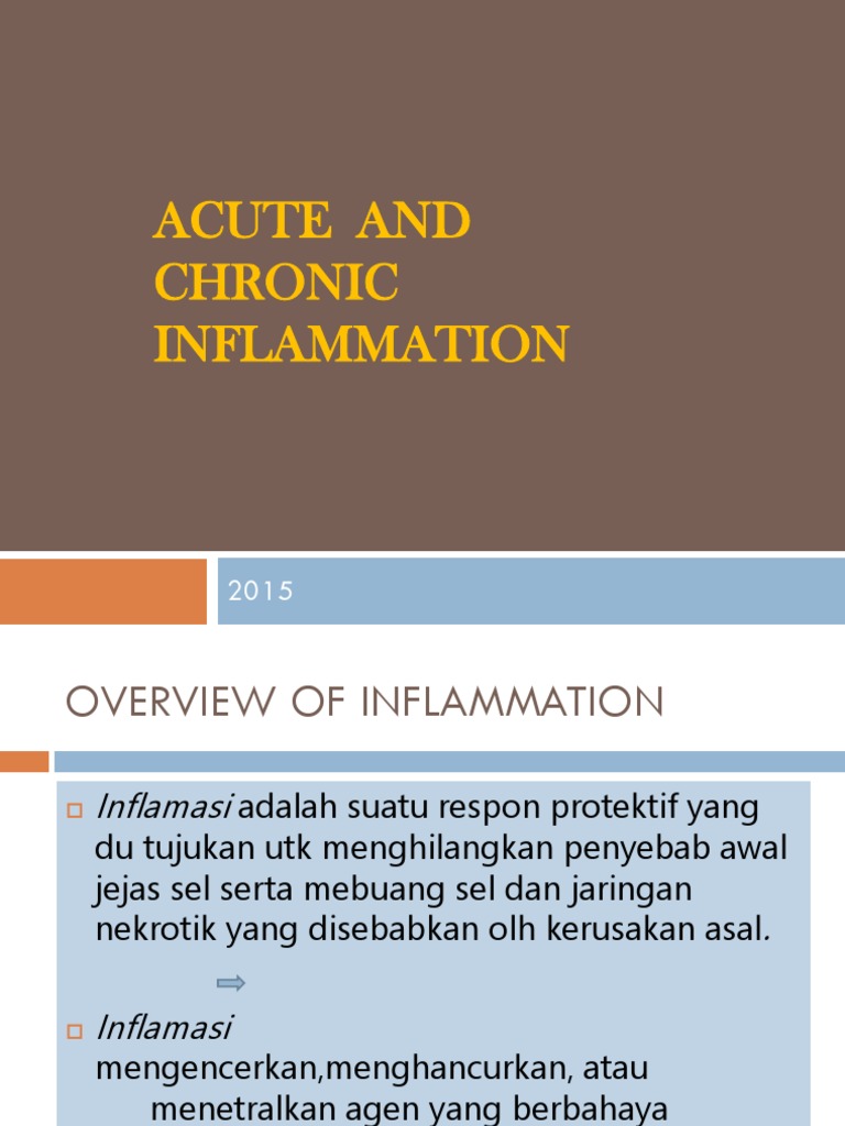 2.4 2.5 Radang Akut Kronik Dan Morfologi | PDF | Blood Vessel ...