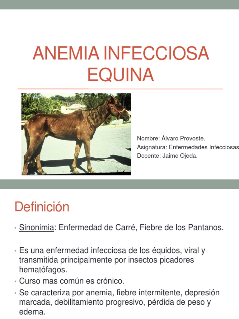 Anemia Infecciosa Equina | PDF | Virus | Infección