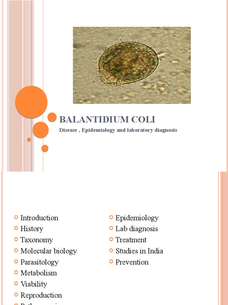 Balantidium Coli: Disease and Diagnosis | PDF | Infection | Digestion