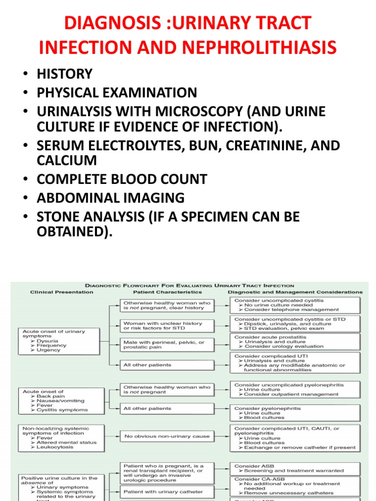 Diagnosis:Urinary Tract Infection and Nephrolithiasis | Download Free ...