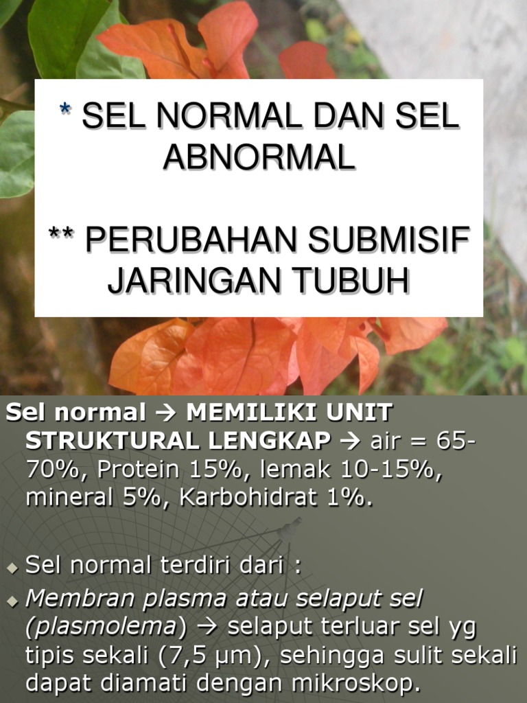 Sel Normal dan Abnormal dalam Jaringan | PDF