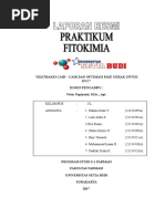 Formulasi Sirup Paracetamol Farmasi | PDF