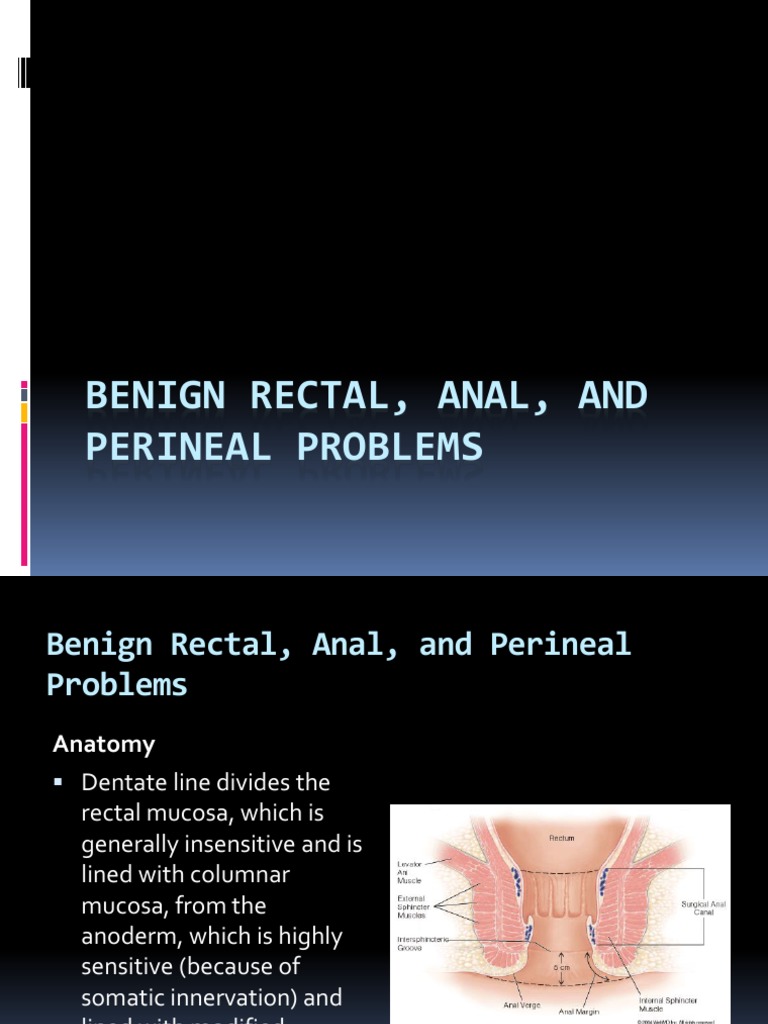 Benign Rectal, Anal, and Perineal Problems | PDF | Hemorrhoid | Thrombosis