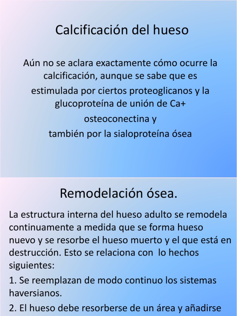 Calcificación y remodelación ósea | PDF | Hueso | Articulación