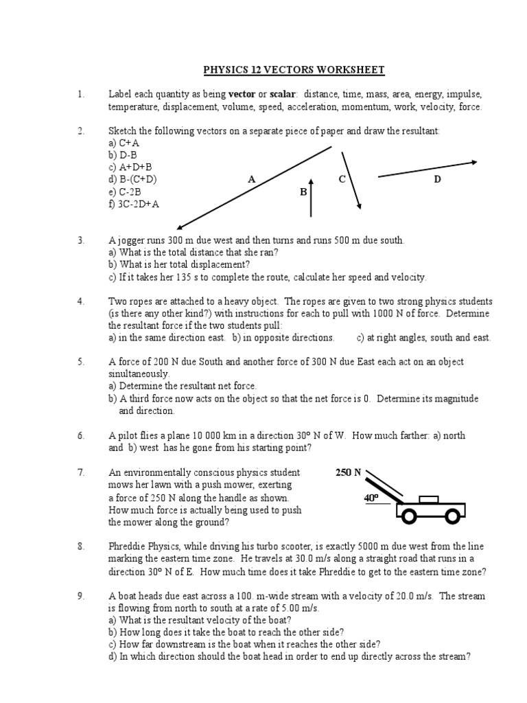 Vectors Ws PDF | PDF | Force | Euclidean Vector