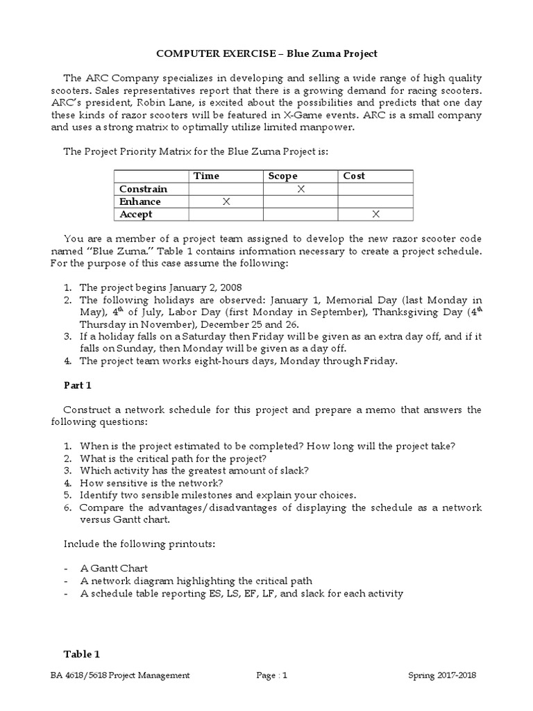 Blue Zuma | PDF | Production And Manufacturing | Business