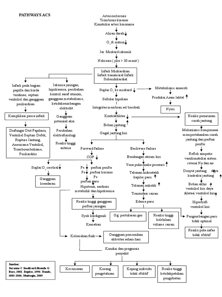 Pathway ACS | PDF