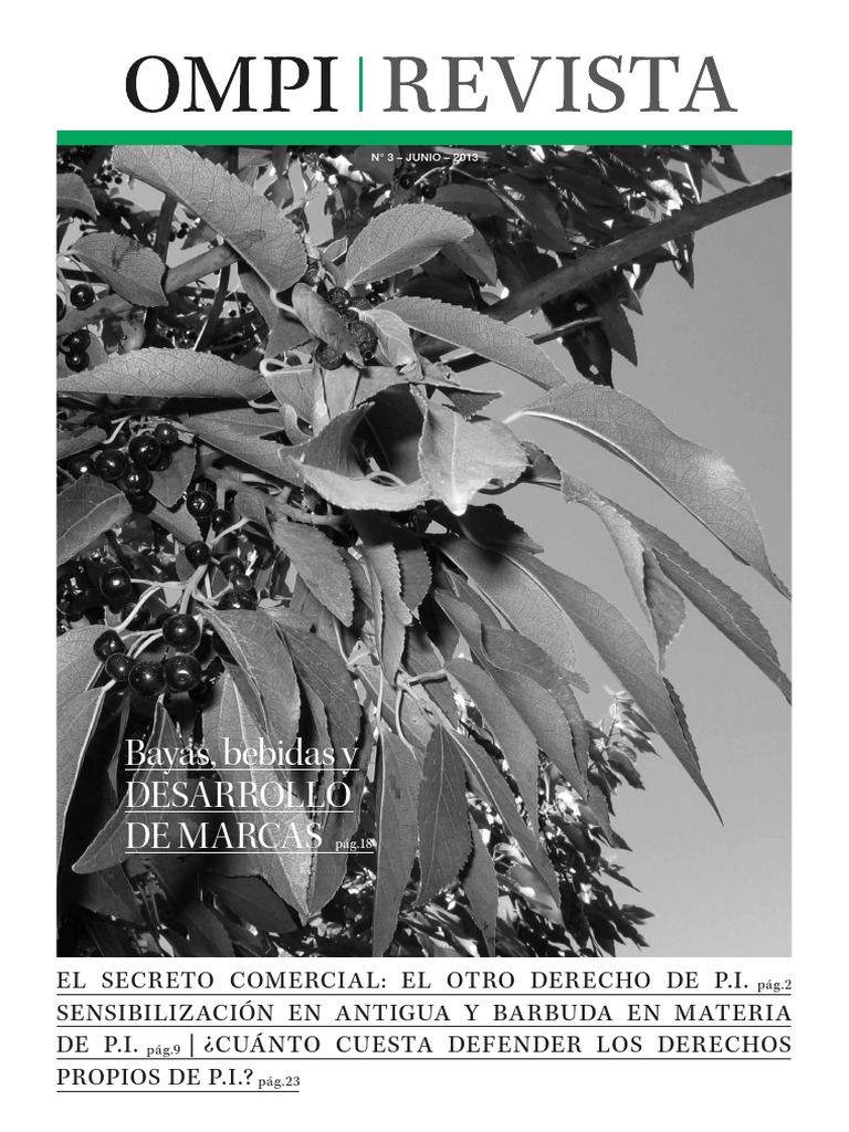 Revista de La OMPI PDF | PDF | Patentar | Propiedad intelectual