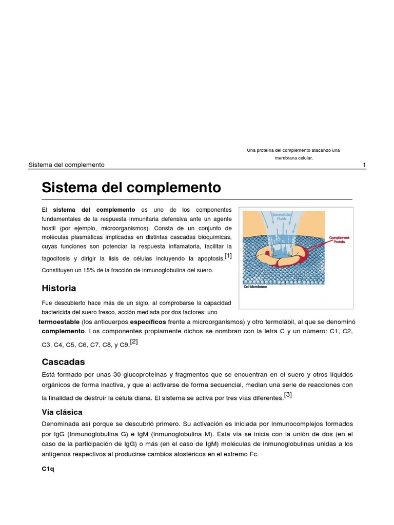 Sistema Del Complemento | PDF | Sistema complementario | Sistema inmune
