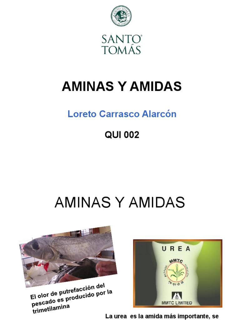 Aminas y Amidas | PDF | Amina | Amida