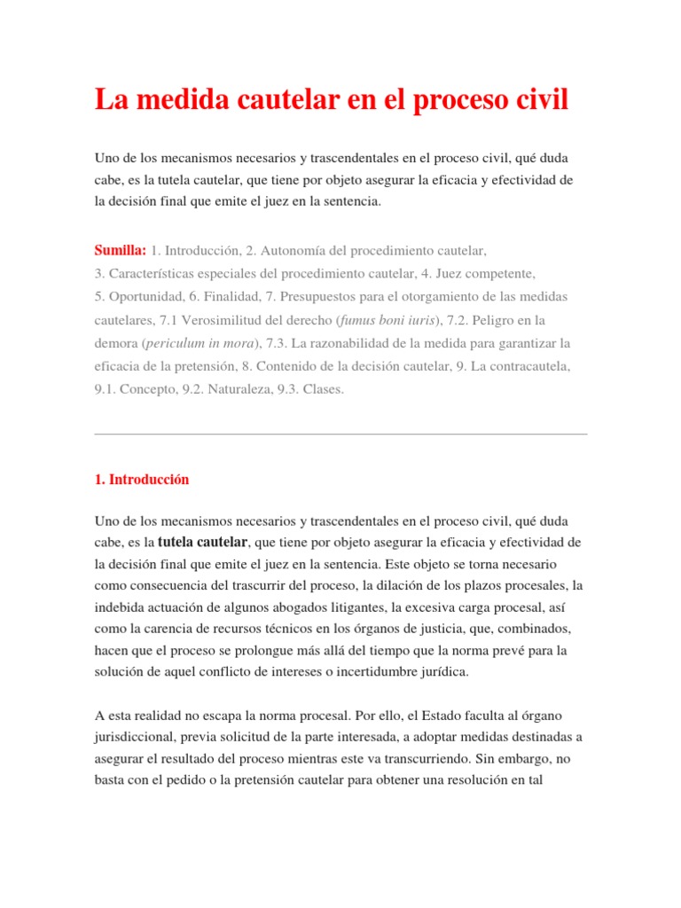 La Medida Cautelar en El Proceso Civil | Mandato | Derecho procesal