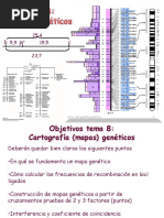 Cartografía Cromosómica | PDF | Enlace Genético | Microsatélite