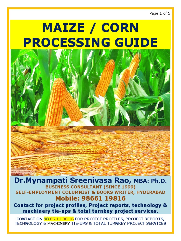 Maize Processing Plant Project Guide | PDF | Maize | Food Ingredients