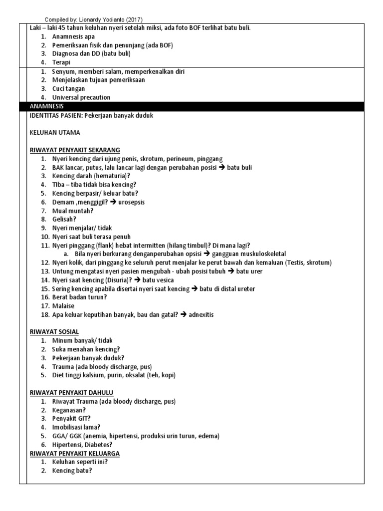 Batu Saluran Kemih | PDF