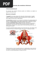 11 - Região Poplítea | PDF | Joelho | Anatomia humana