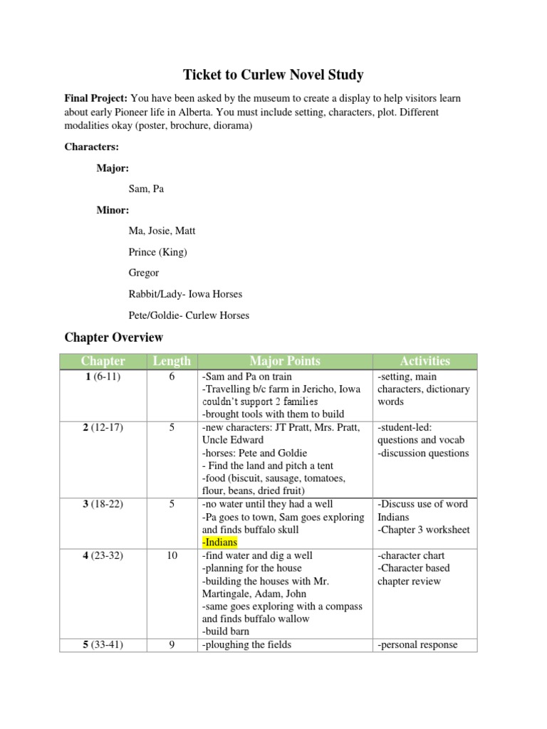 Ticket To Curlew Novel Study | PDF | Reading Comprehension