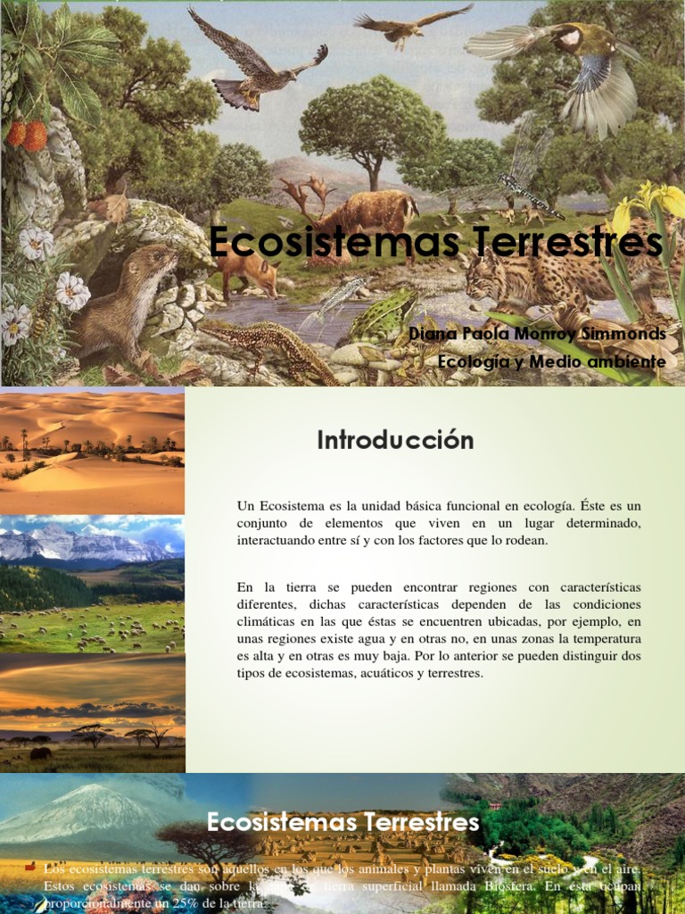 Ecosistemas Terrestres | PDF | Ecosistema | Suelo