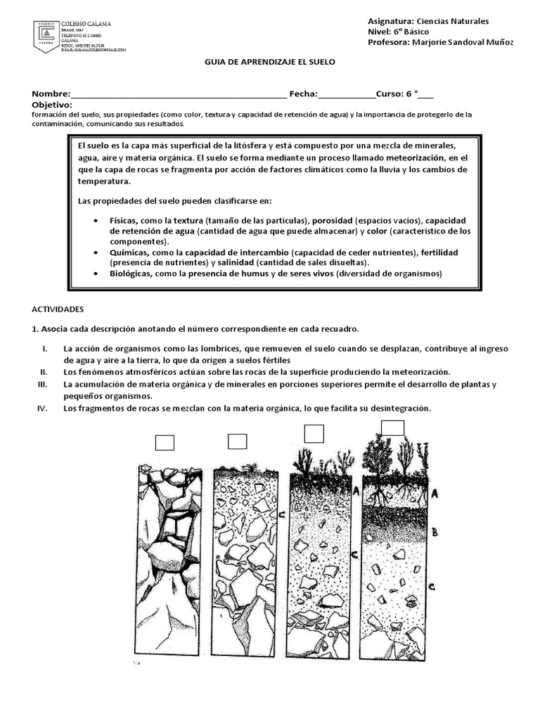 Guias Unidad Capas de La Tierra 6° Suelo | PDF | Erosión | Suelo