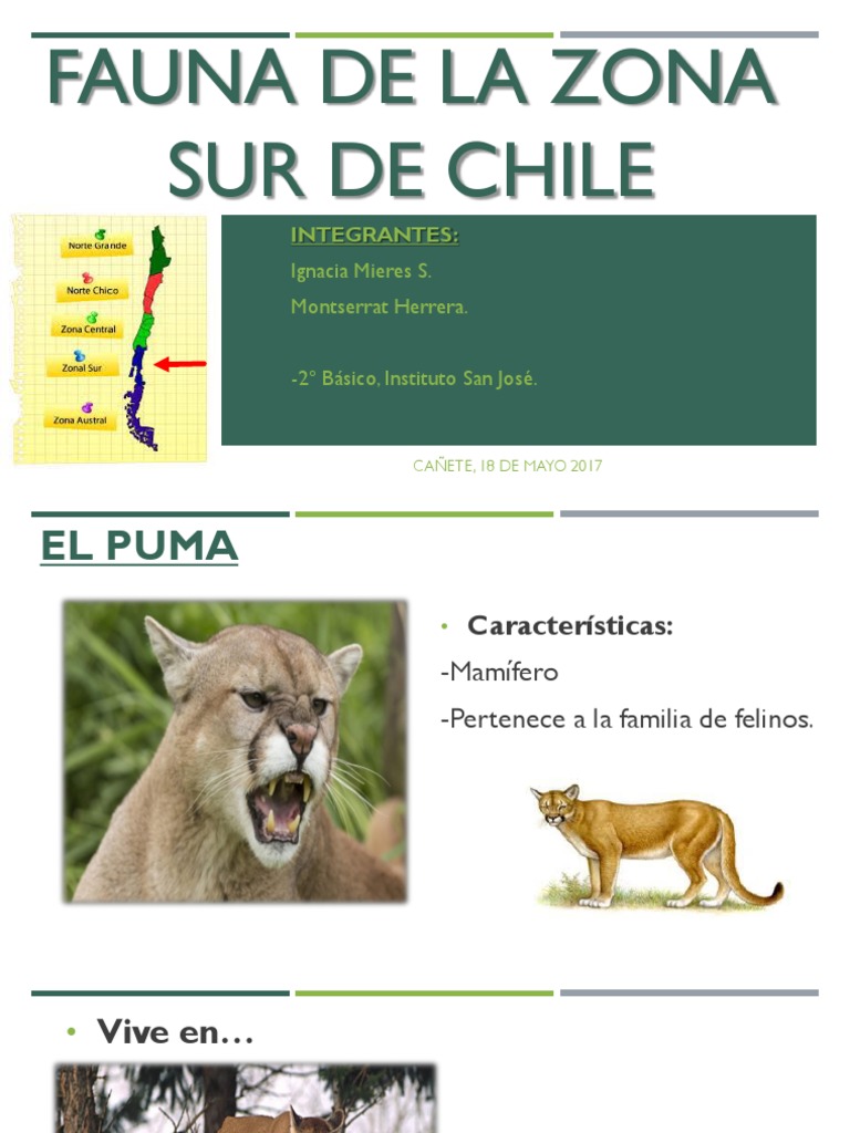 La Fauna de la Zona Sur de Chile: Características y Hábitats de ...