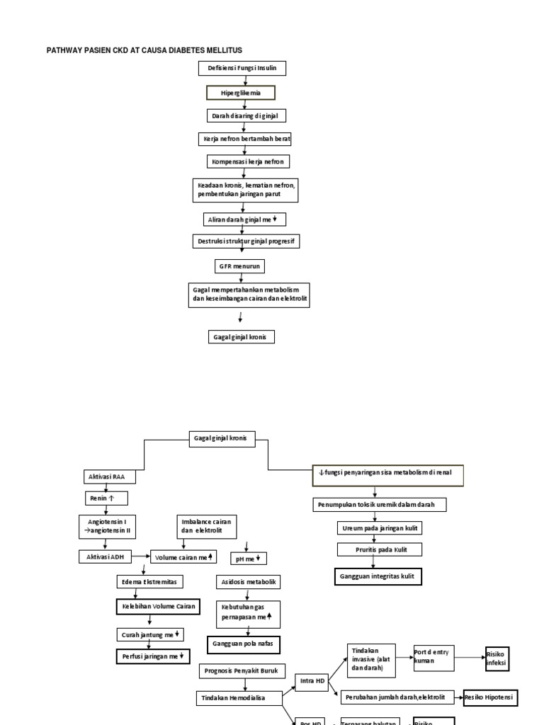 Pathway CKD DM | PDF
