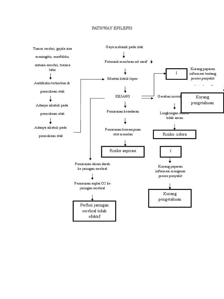 Pathway Epilepsi | PDF