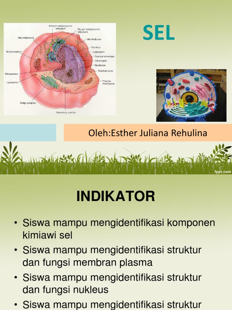 Komponen Kimia Sel | PDF