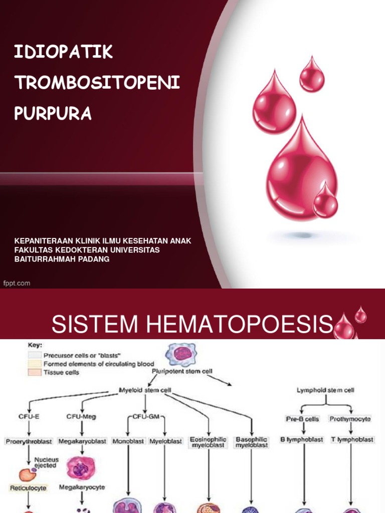 Idiopatik Trombositopeni Purpura | PDF