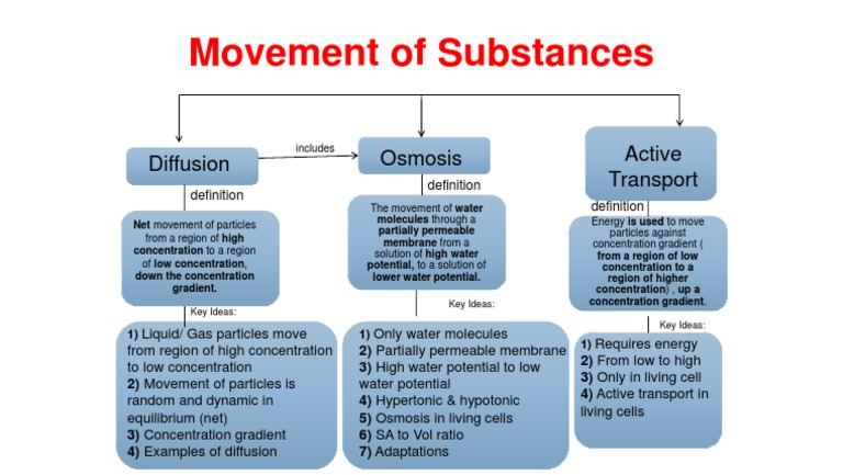 Movement of Substances | PDF